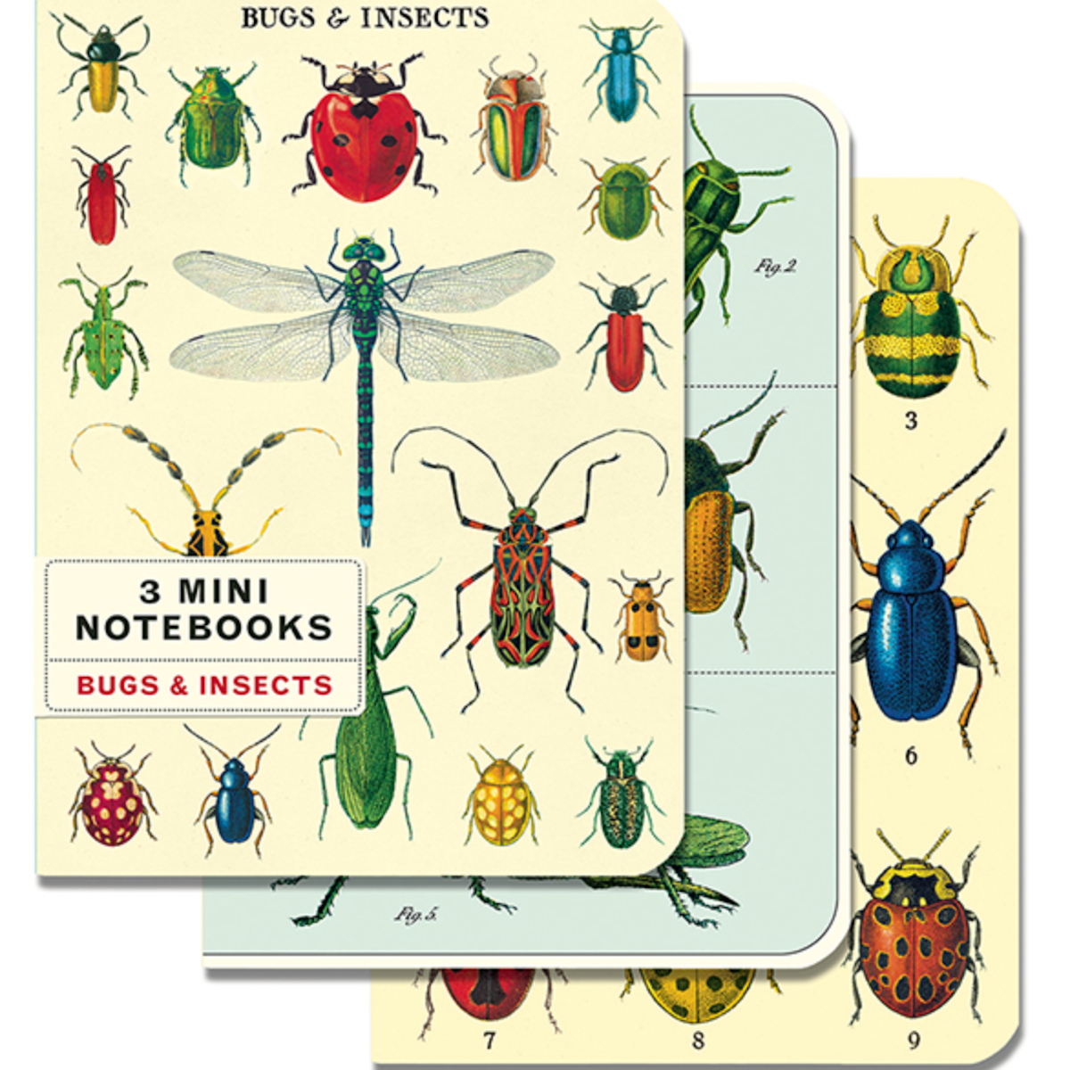 Cavallini Mini Notebook S/3 Bugs & Insects – Cornell Farm