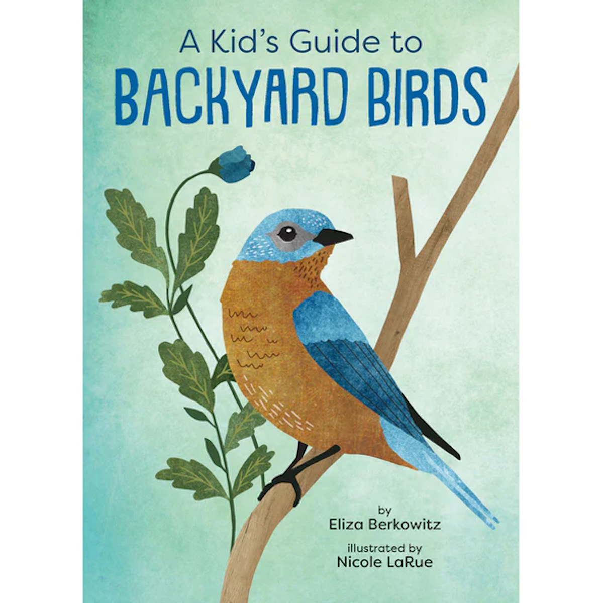 Kids Guide to Backyard Birds – Cornell Farm