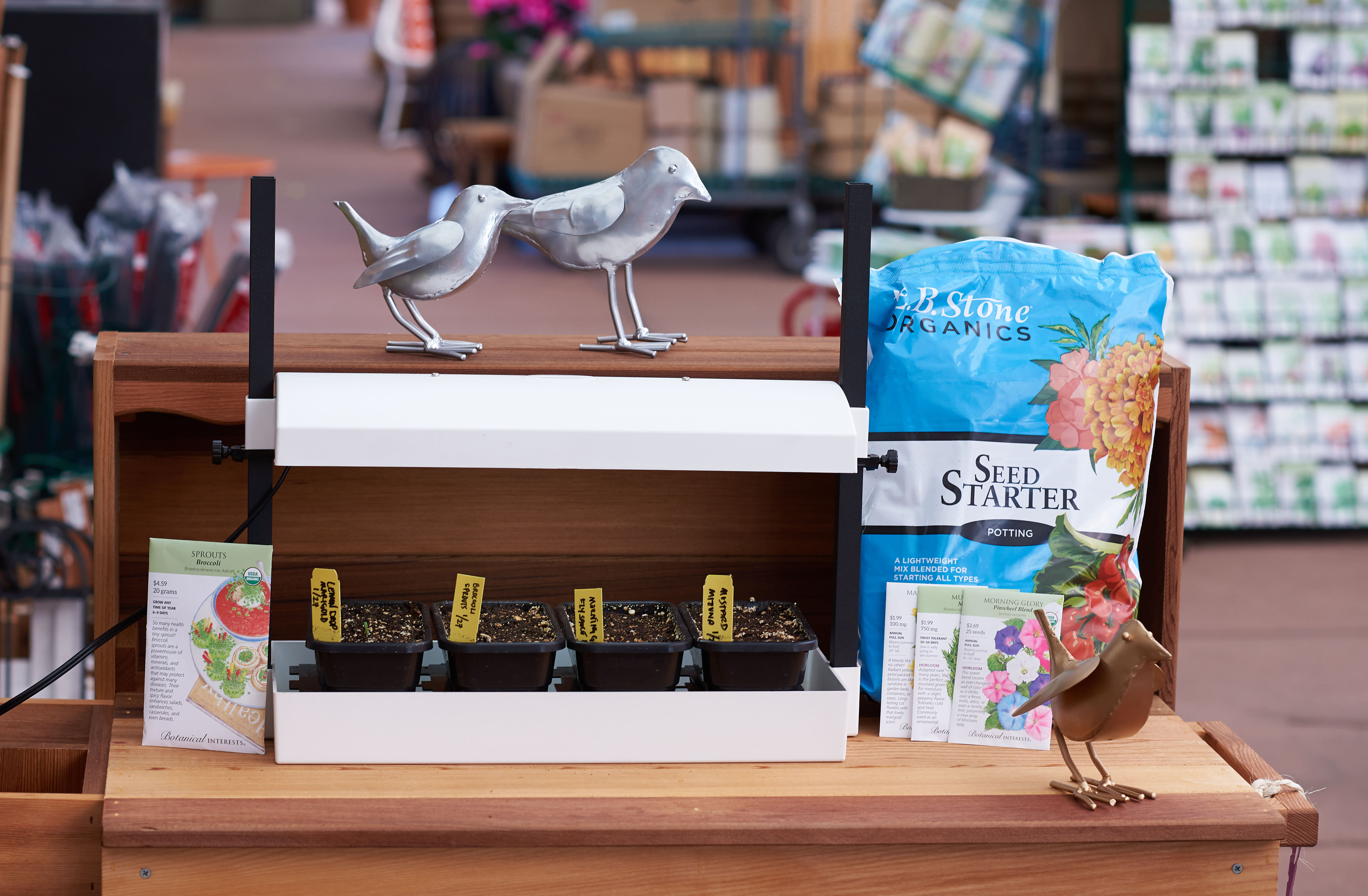 Bringing the Garden Inside! – Cornell Farm