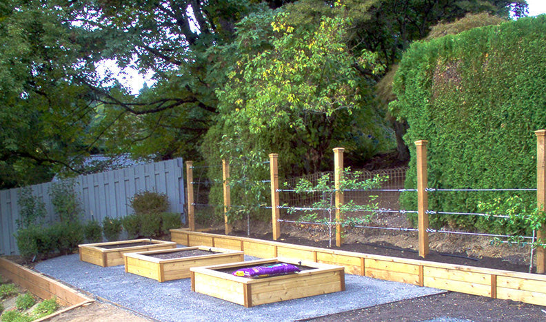 Starting a Veggie Garden – Cornell Farm