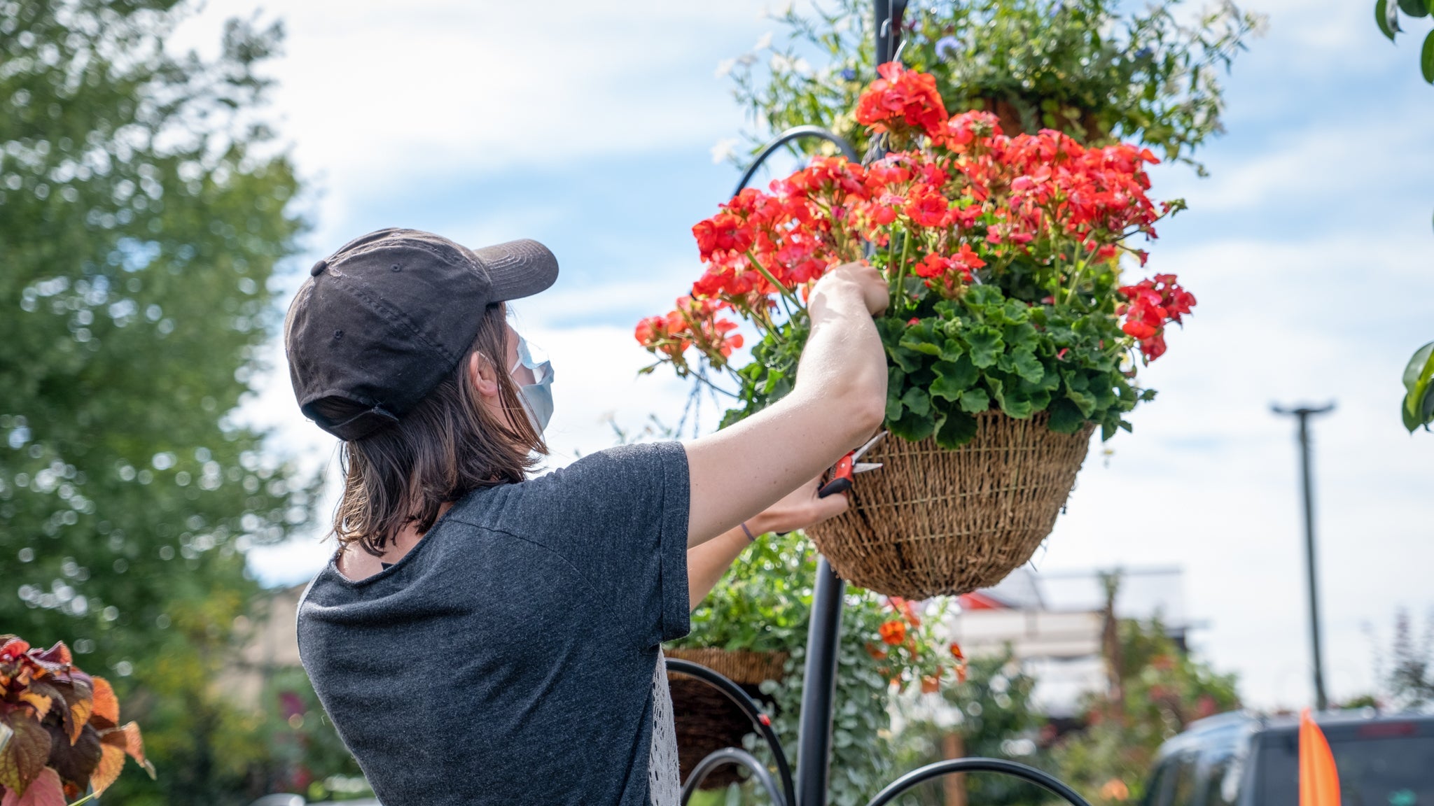 Interview the Gardener: Sara Finkle – Cornell Farm
