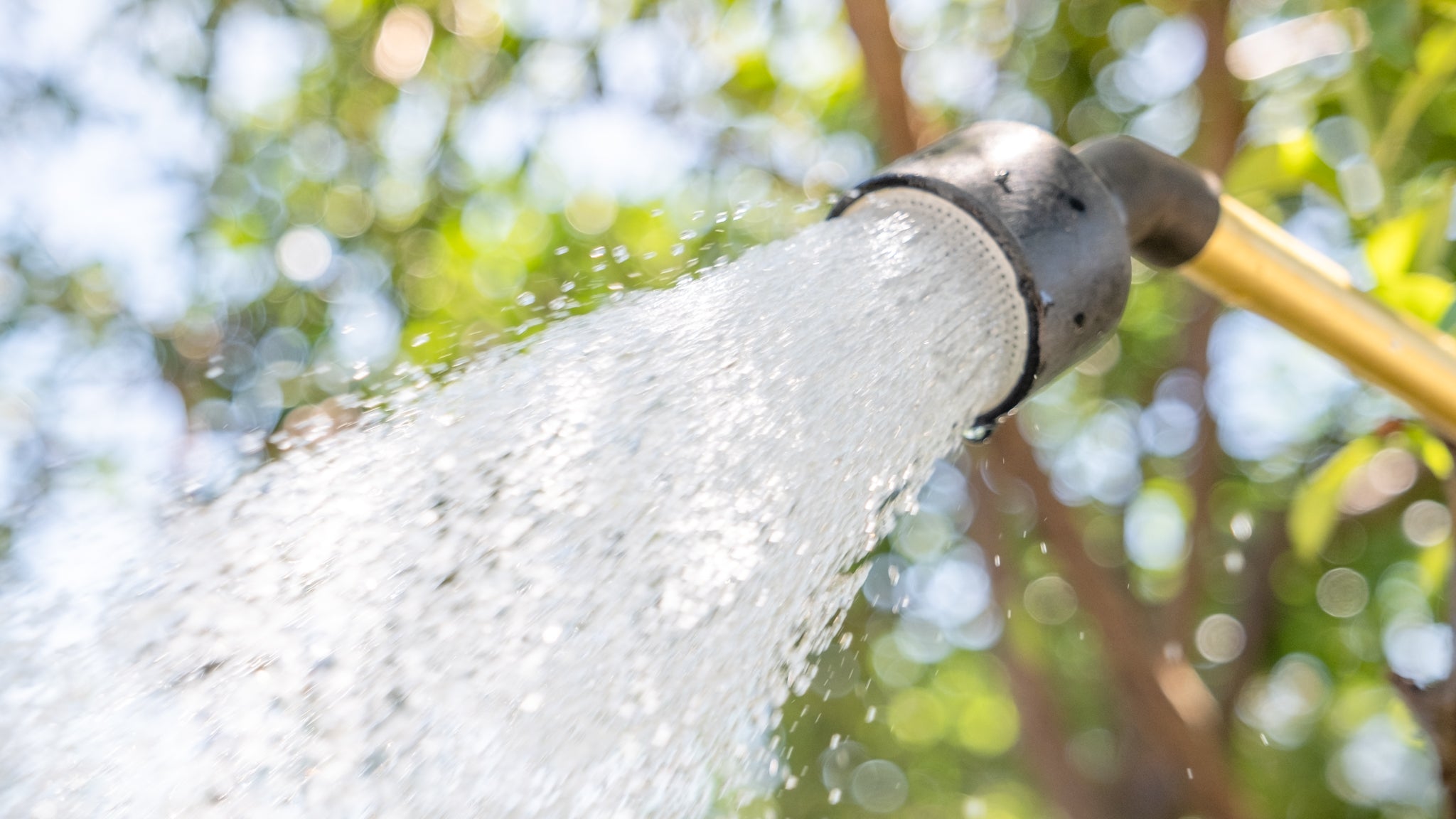 Summer Watering Basics – Cornell Farm