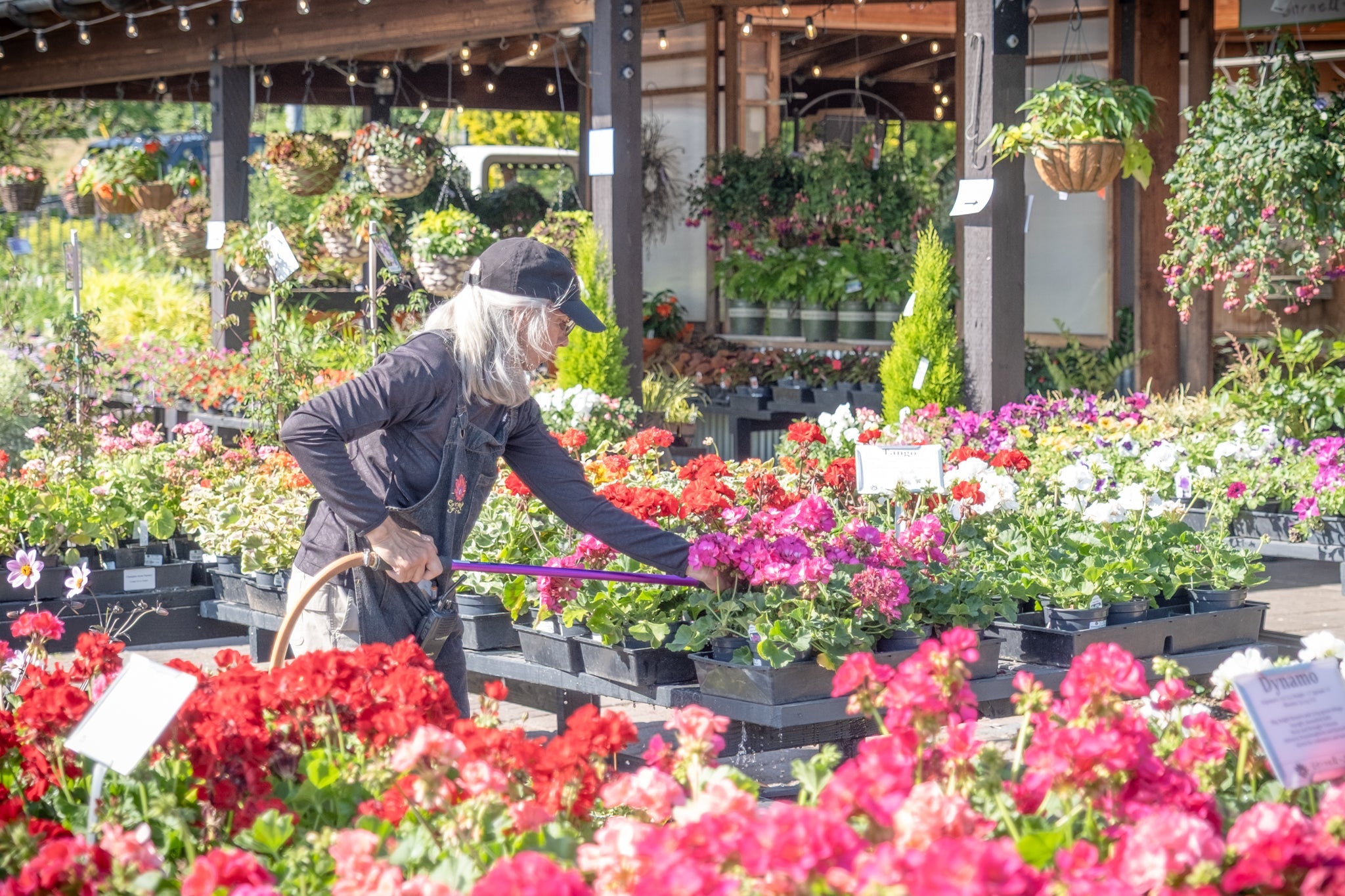 Annuals & Perennials – Cornell Farm