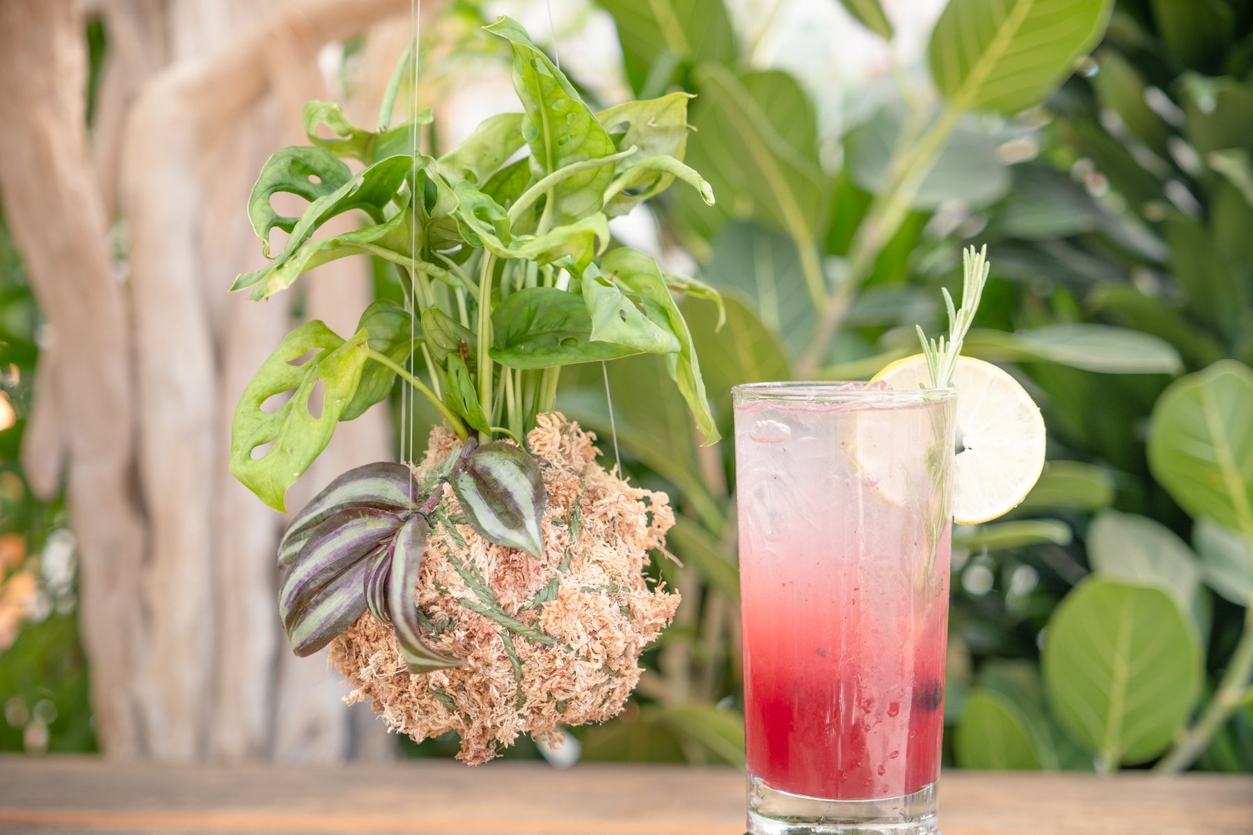 Cornell Farm Nursery & Cafe