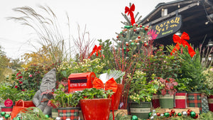 Cornell Farm Nursery & Cafe