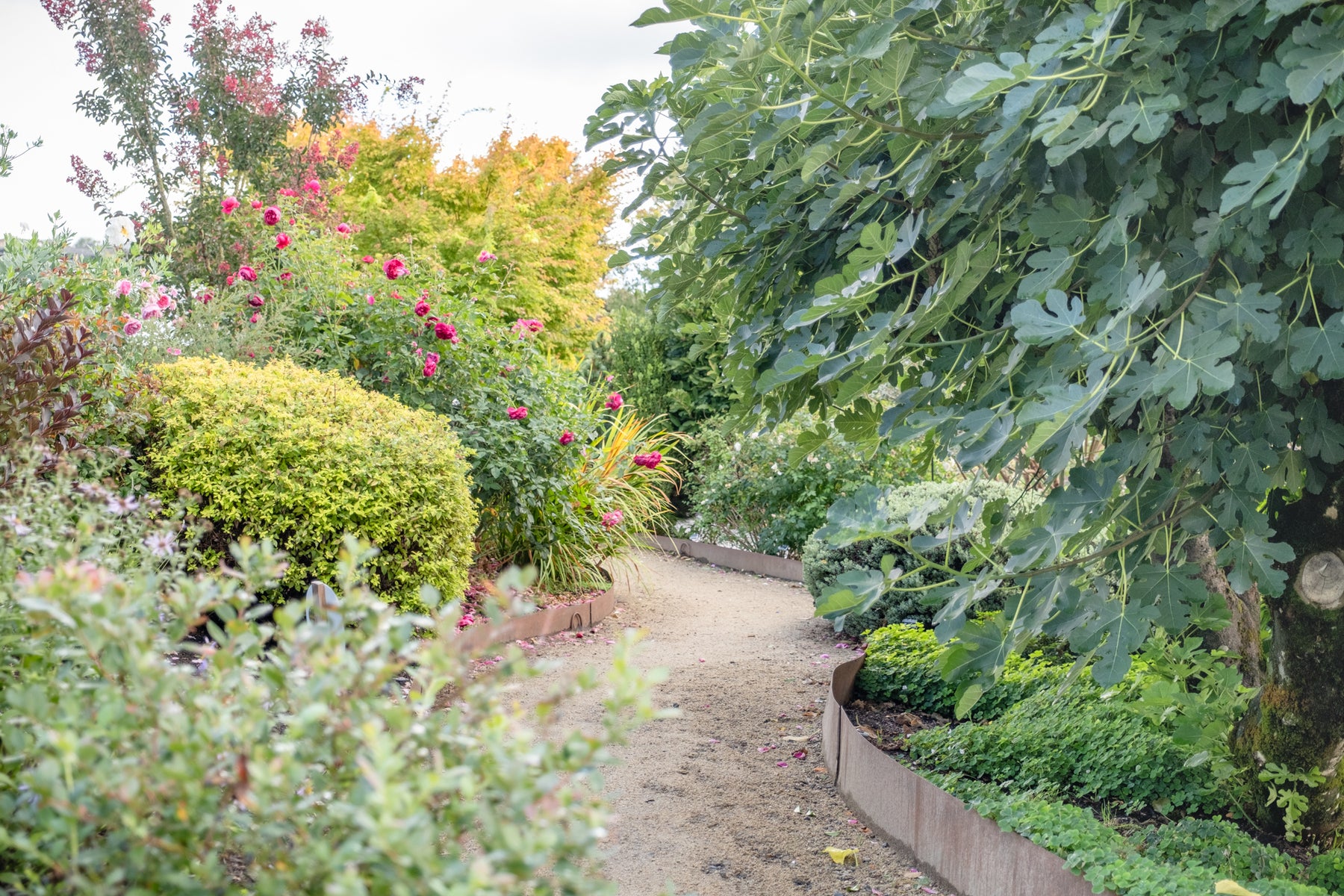 Cornell Farm Nursery & Cafe