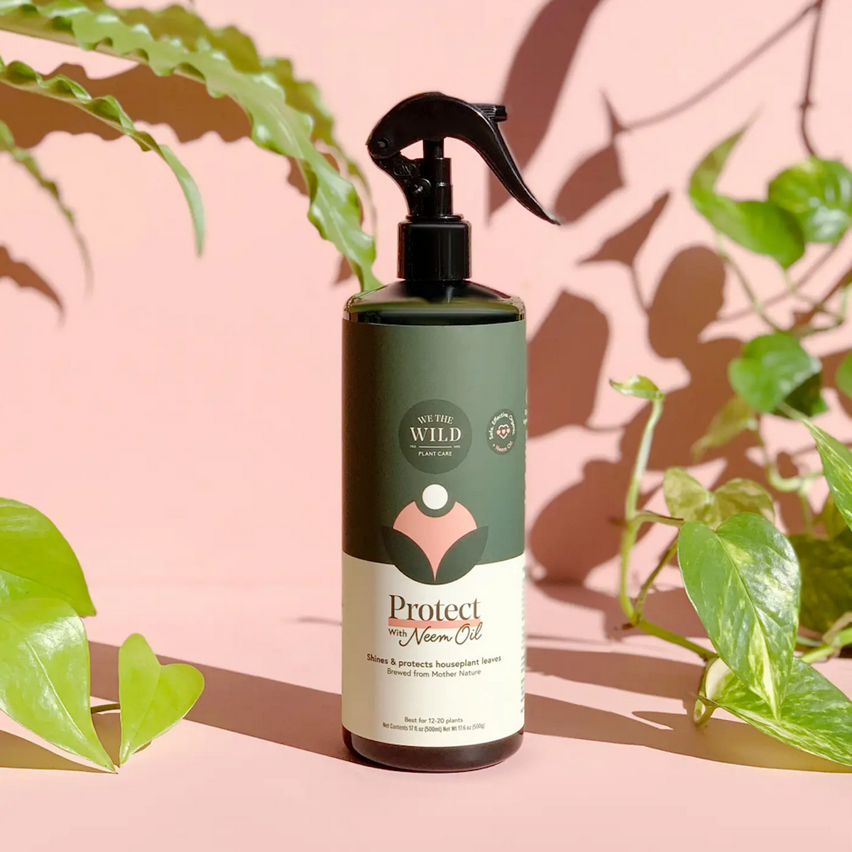 We The Wild Protect Spray with Neem Leaf Shine – Cornell Farm