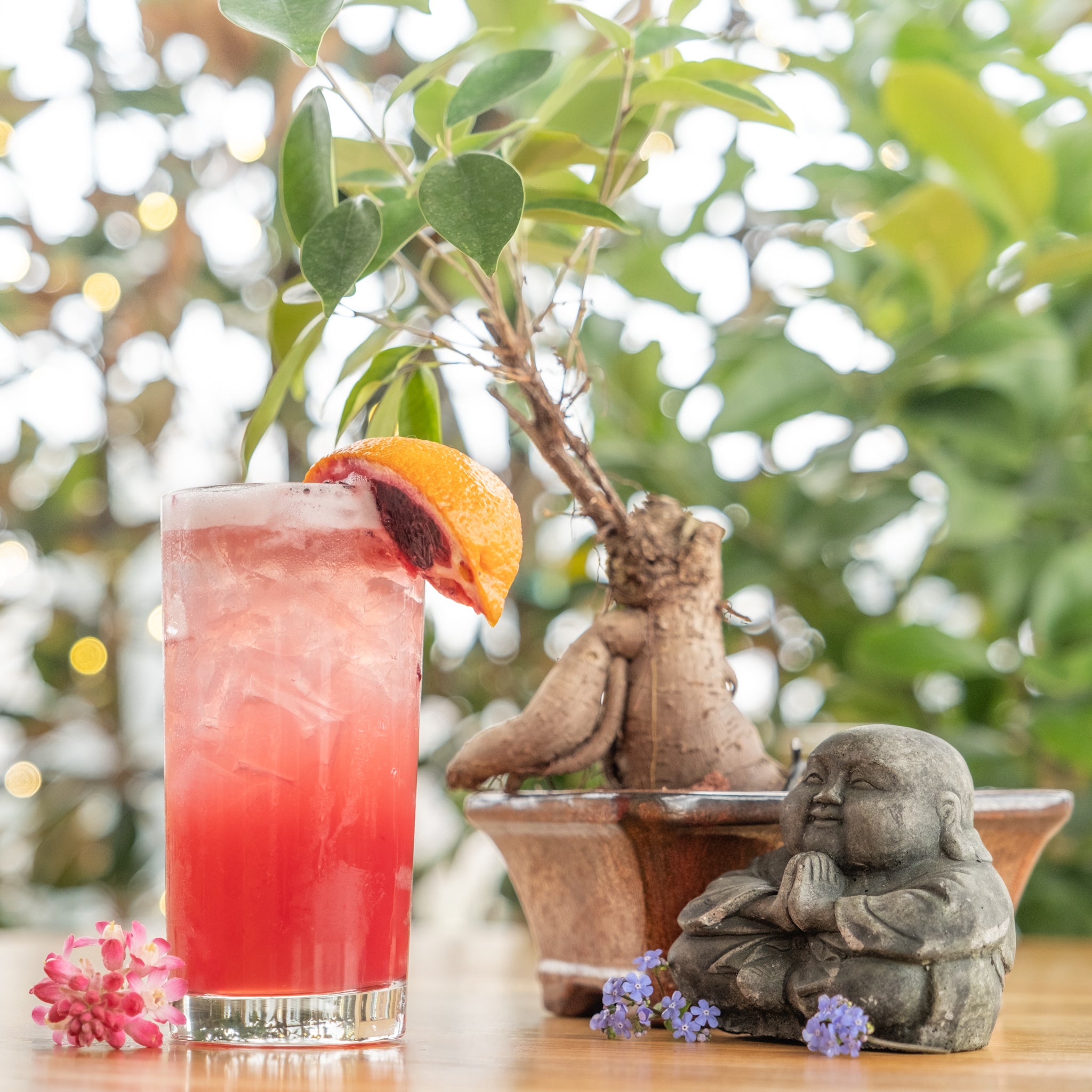 Bonsai "Plant and Sip" Workshop – Cornell Farm