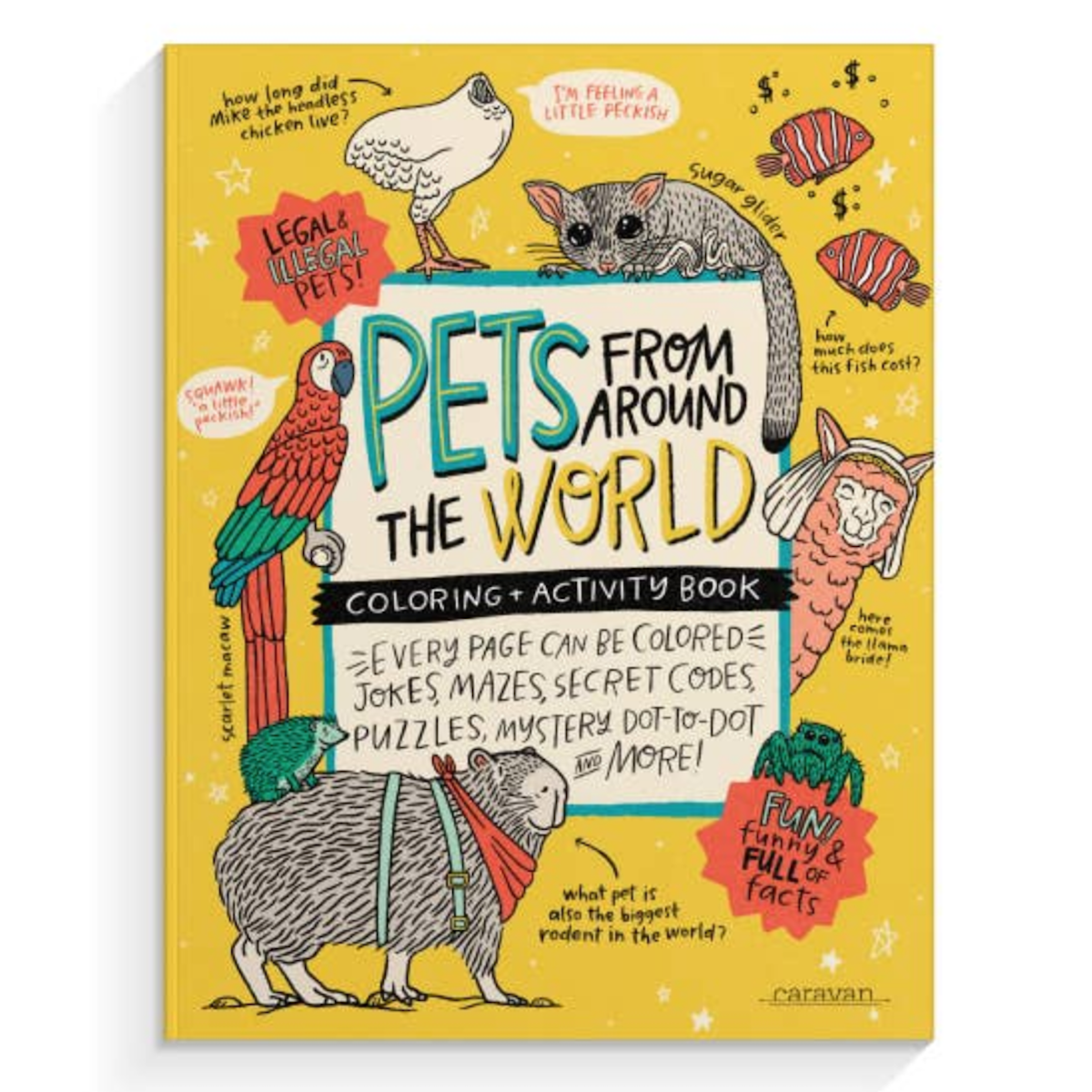 Pets Coloring + Activity Book – Cornell Farm