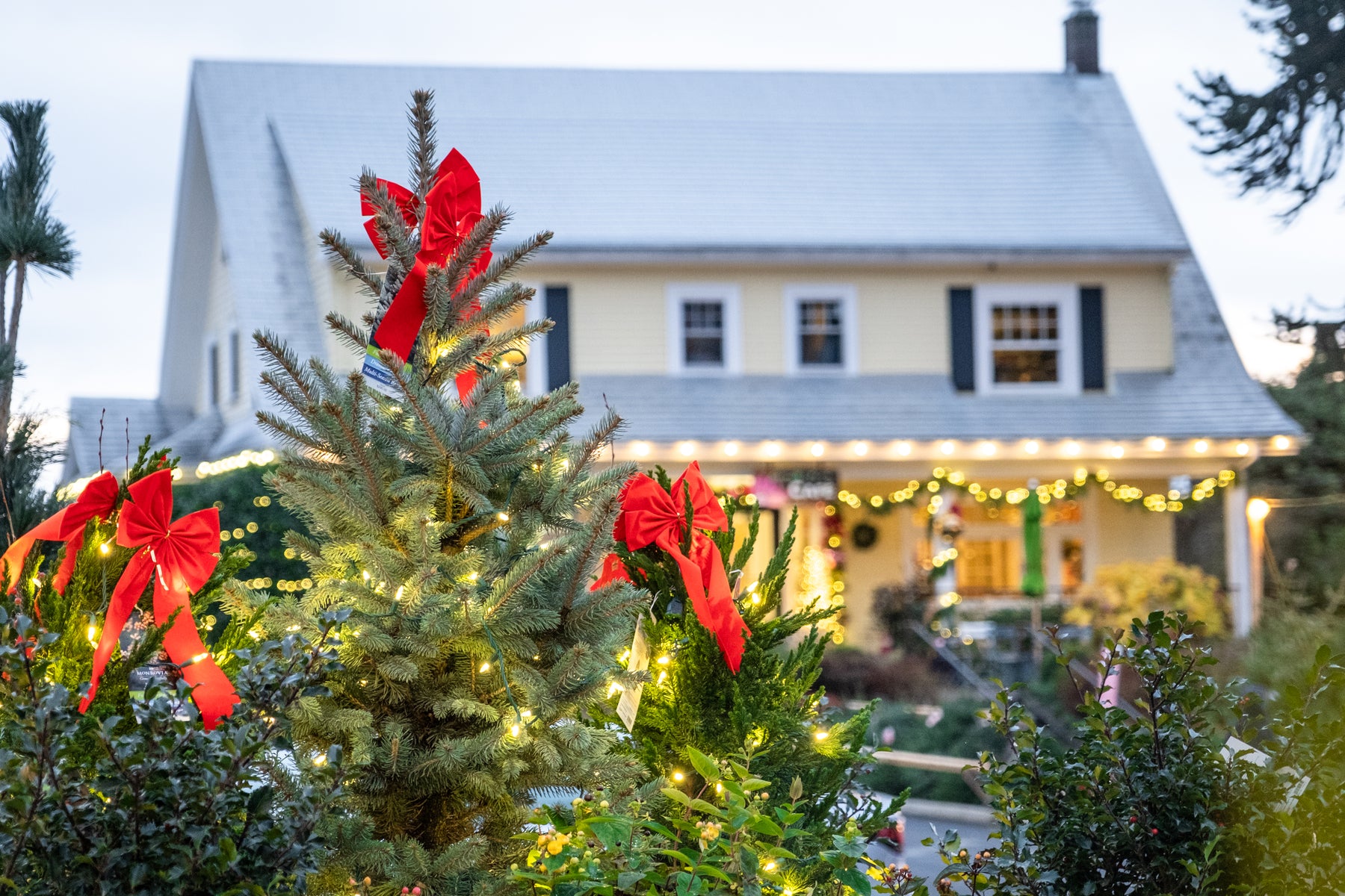 Cornell Farm Nursery & Cafe