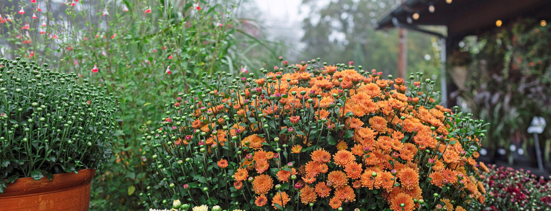 Cornell Farm Nursery & Cafe