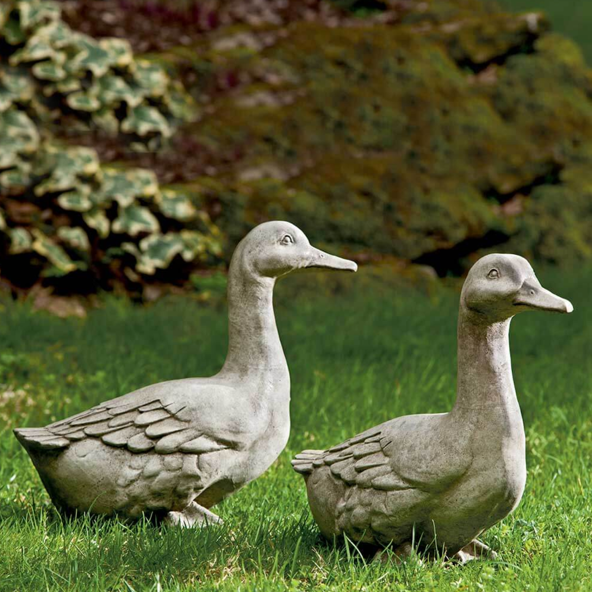 Quackers Duck Statue VE – Cornell Farm