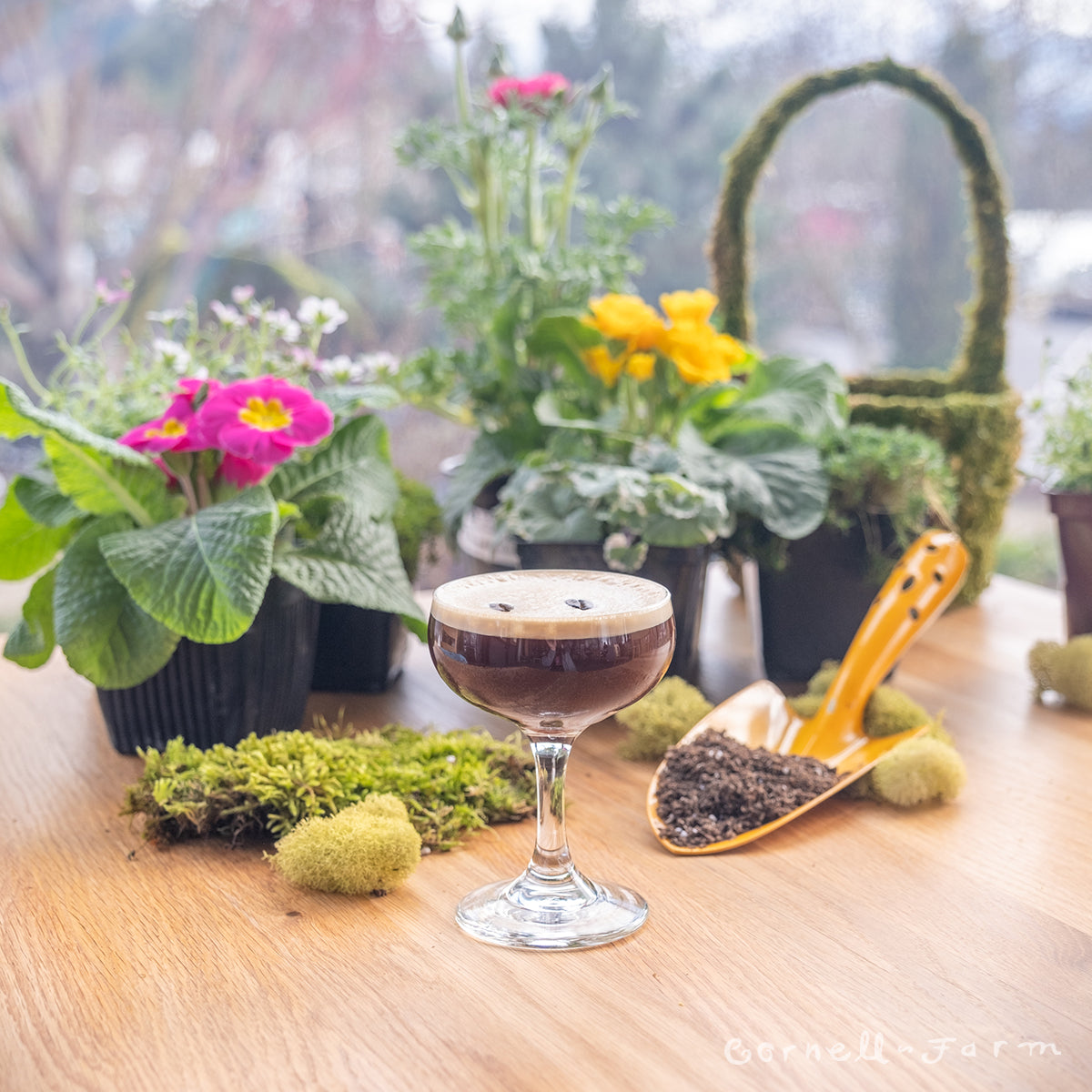 Living Easter Basket "Plant and Sip" Workshop Seat – Cornell Farm