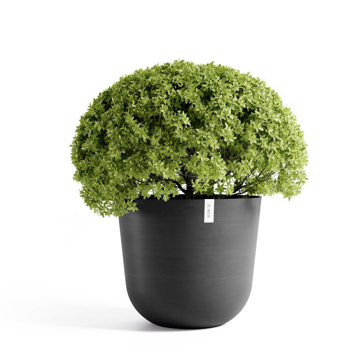 Oslo Pot 65cm/25.5in Black – Cornell Farm