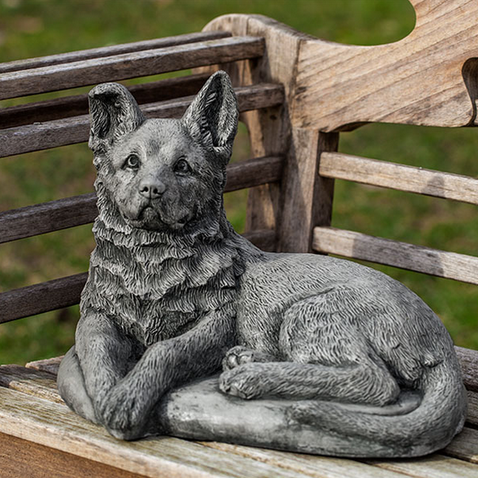 Shepard Pup AS – Cornell Farm