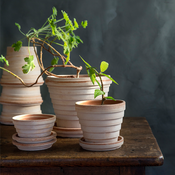 Terracotta Planet – Cornell Farm