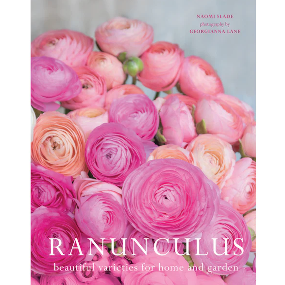 RANUNCULUS: Beautiful Varieties for Home & Garden – Cornell Farm