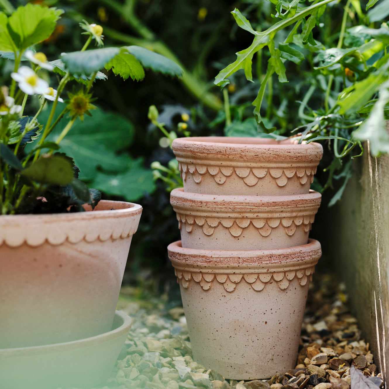 Bergs Kobenhavner Pot – Cornell Farm